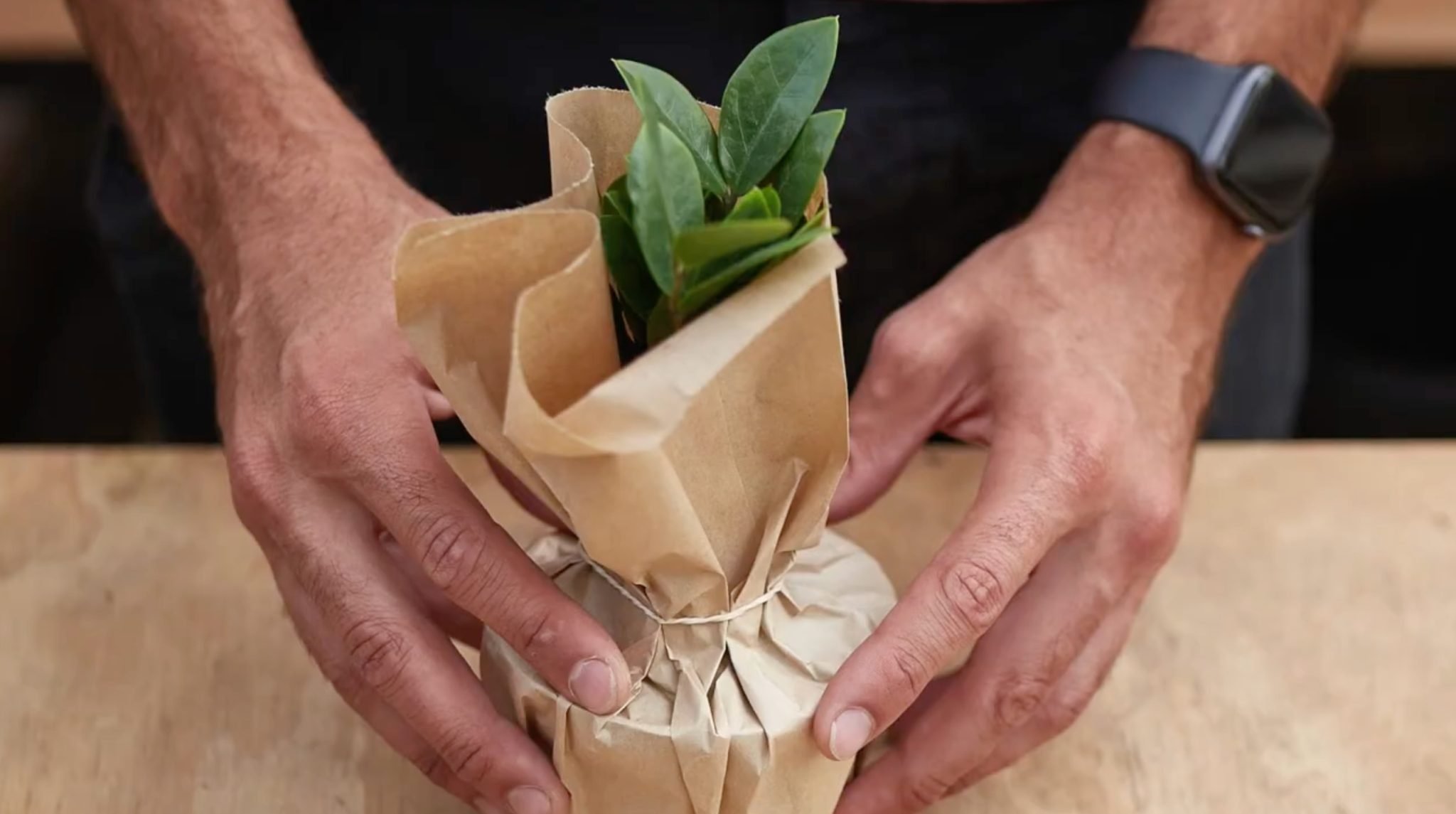 Plant Packing Process - UrbanPlantNook